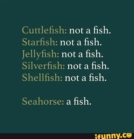 Cuttlefish: not a fish. Starfish: not a fish. Jellyfish: not a fish ...