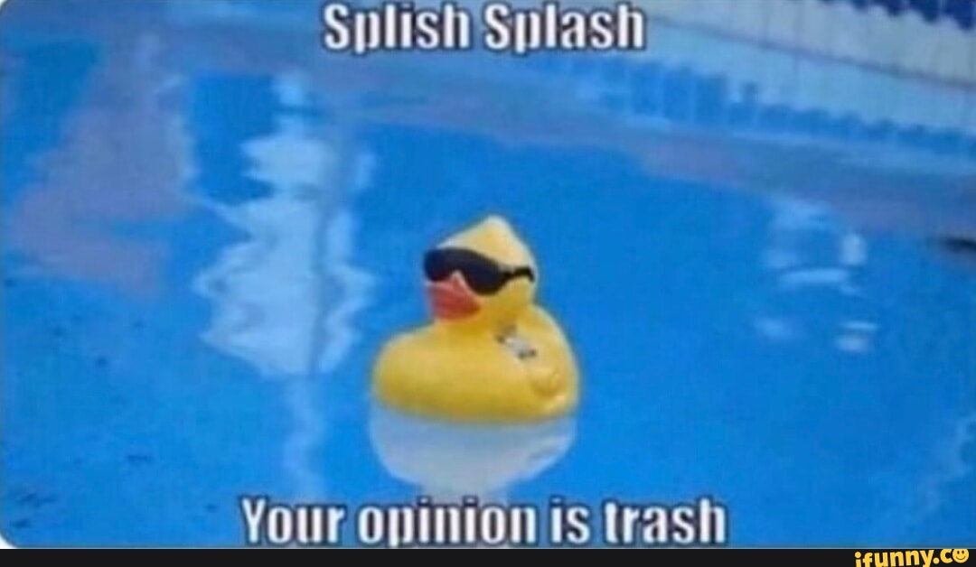 Splosh memes. Best Collection of funny Splosh pictures on iFunny