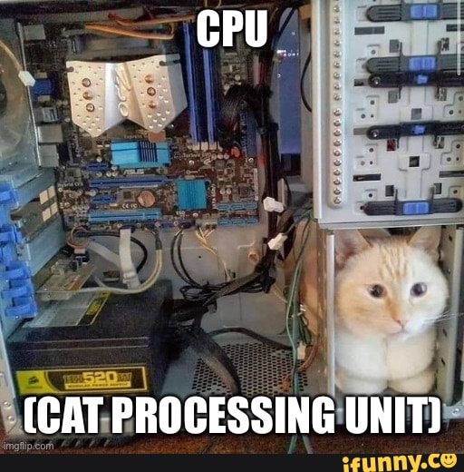 When someone asks why you need a truck - )