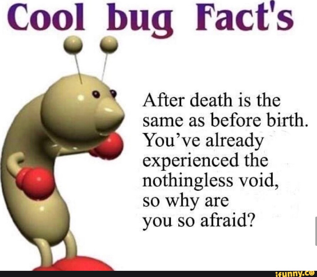 Cool bug Facts After death is the same as before birth. You've already ...
