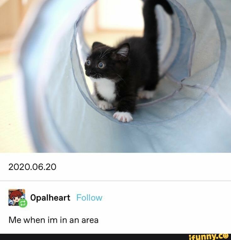 Cursed_Images (An extra girthy dump) - iFunny