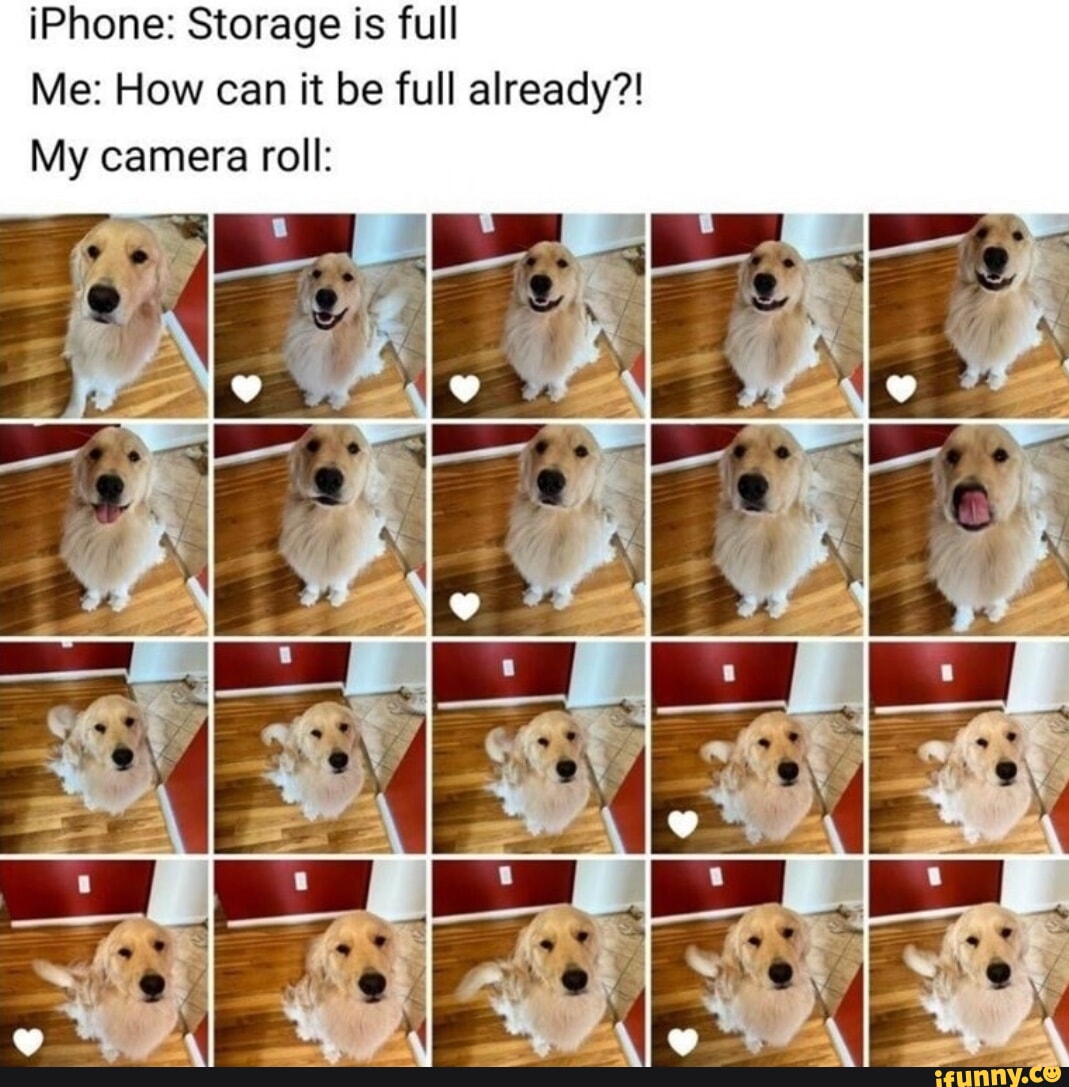 IPhone: Storage is full Me: How can it be full already?! My camera roll ...