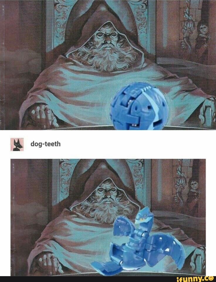 Into my house because have anti nti-gun signs - iFunny