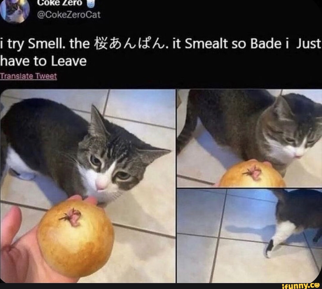 I try Smell. the &H AILA. it Smealt so Bade i Just have to Leave I ...