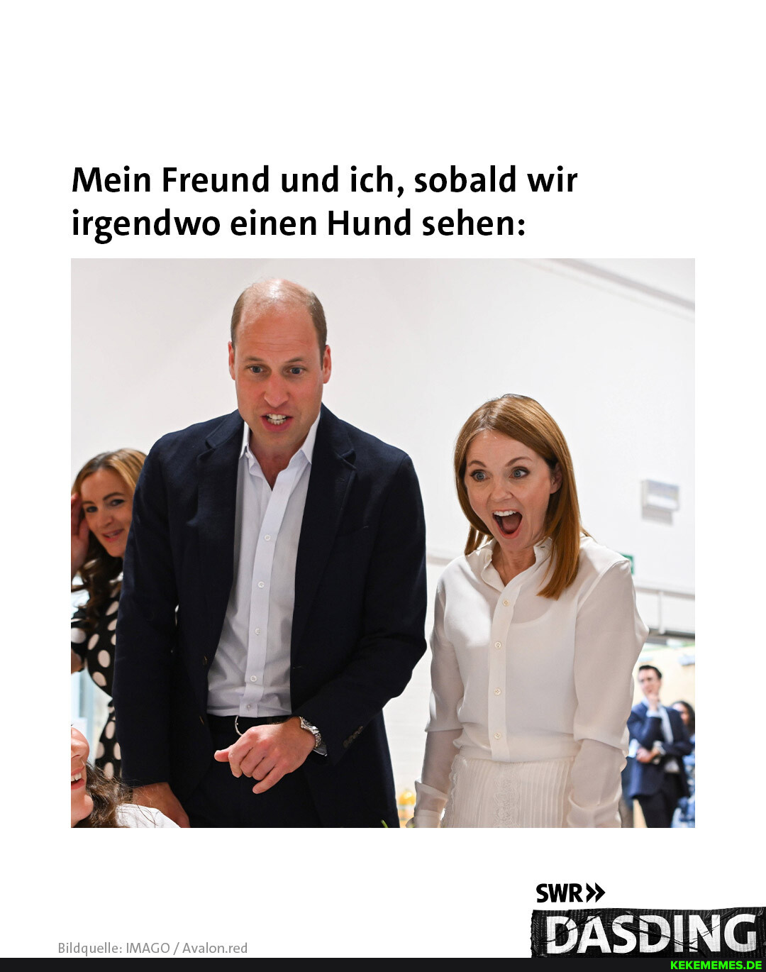 MemePotenzial Prinz William und Geri Halliwell sind richtig am ...