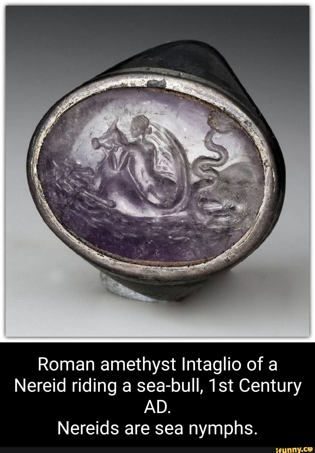 Nymphs memes. Best Collection of funny Nymphs pictures on iFunny