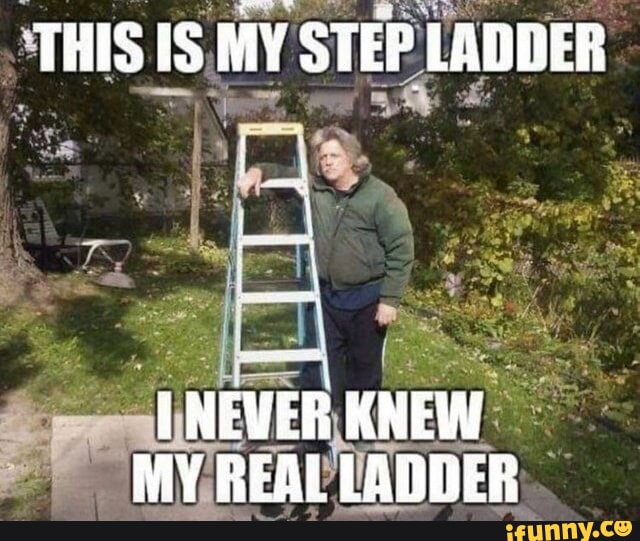 THIS IS MY STEP LADDER NEVER KNEW MY REAL LADDER - iFunny