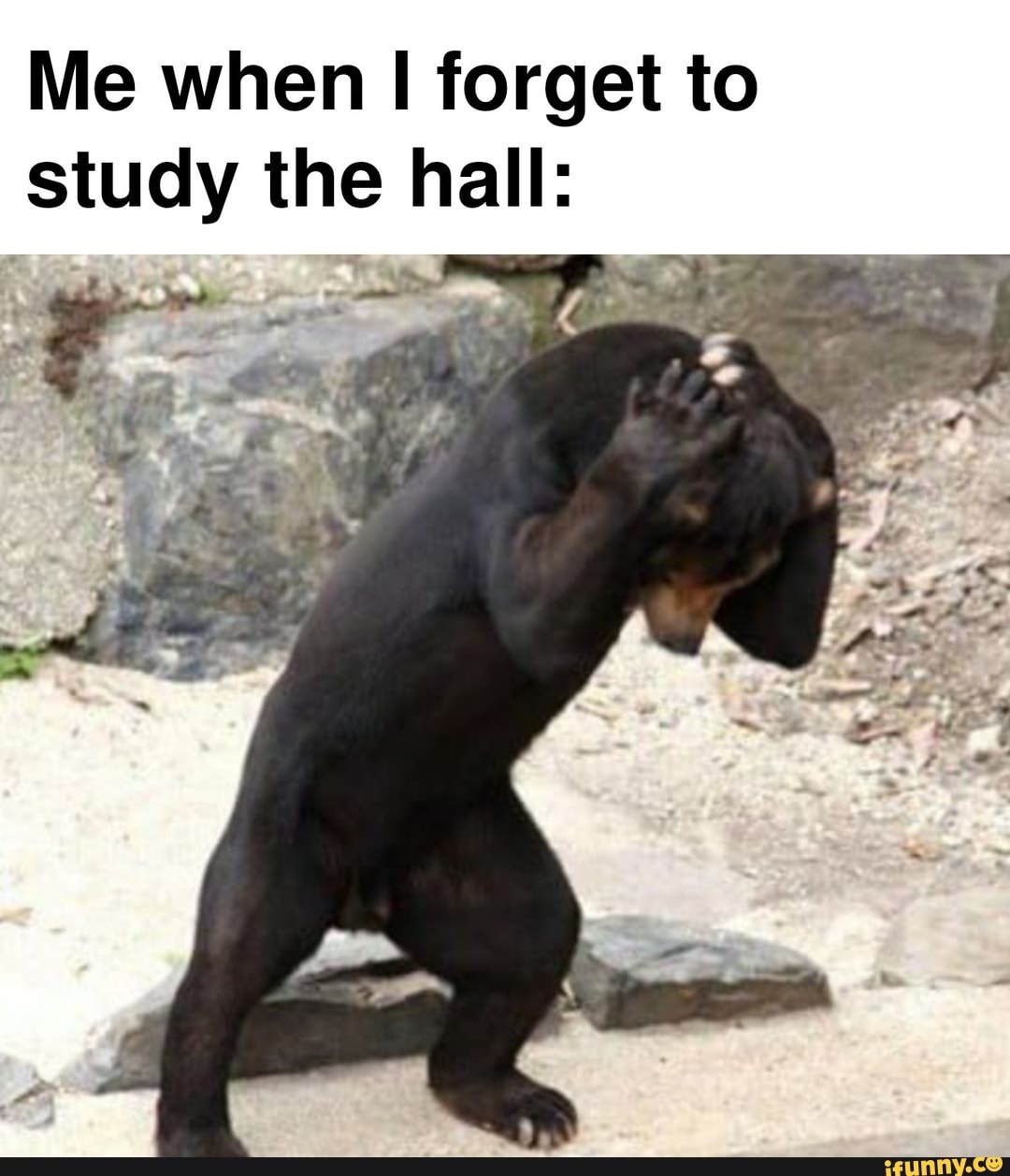Studyhall memes. Best Collection of funny Studyhall pictures on iFunny