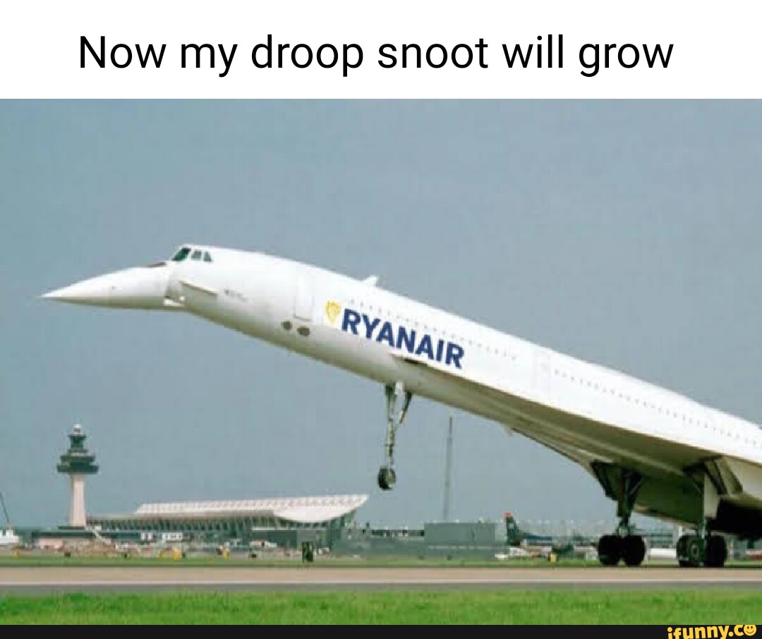 Ryanair memes. Best Collection of funny Ryanair pictures on iFunny