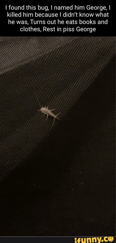 NOVEMBER I4TH: PARTIALLY MUSCLED SKELETON STANOS AND SCREAMS FOR THIRTY ...