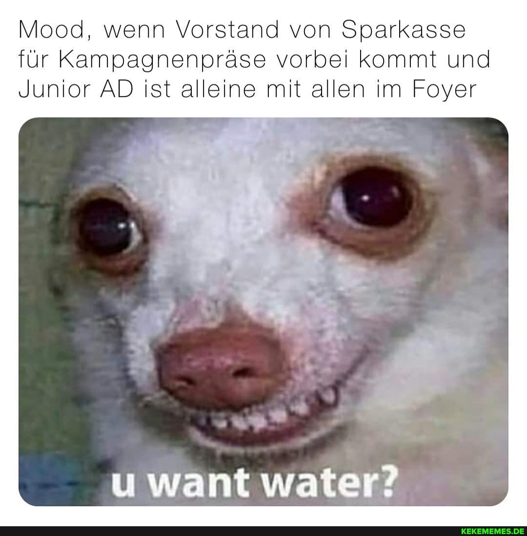 Mood, wenn Vorstand von Sparkasse für Kampaa'nenpräse vorbei kommt und ...