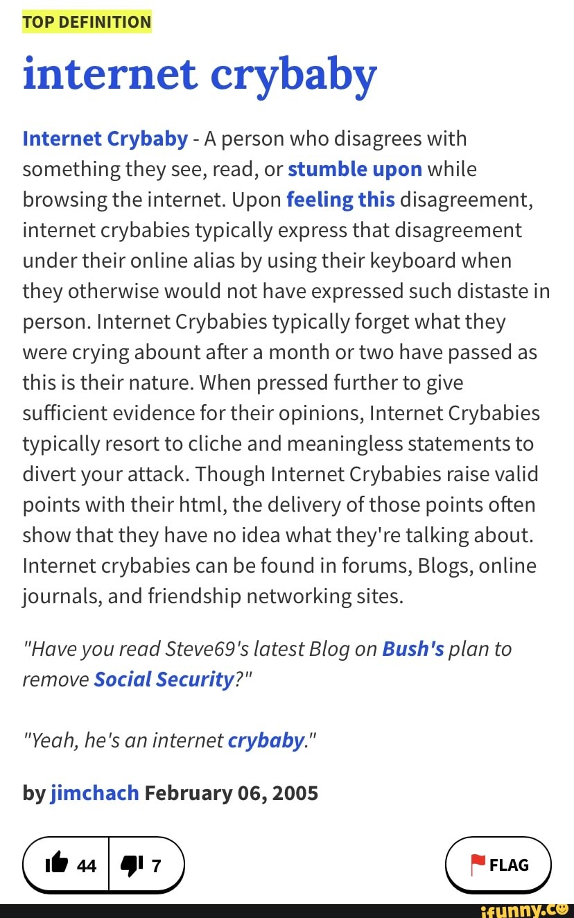 TOP DEFINITION internet crybaby Internet Crybaby - A person who disagrees with something they ...