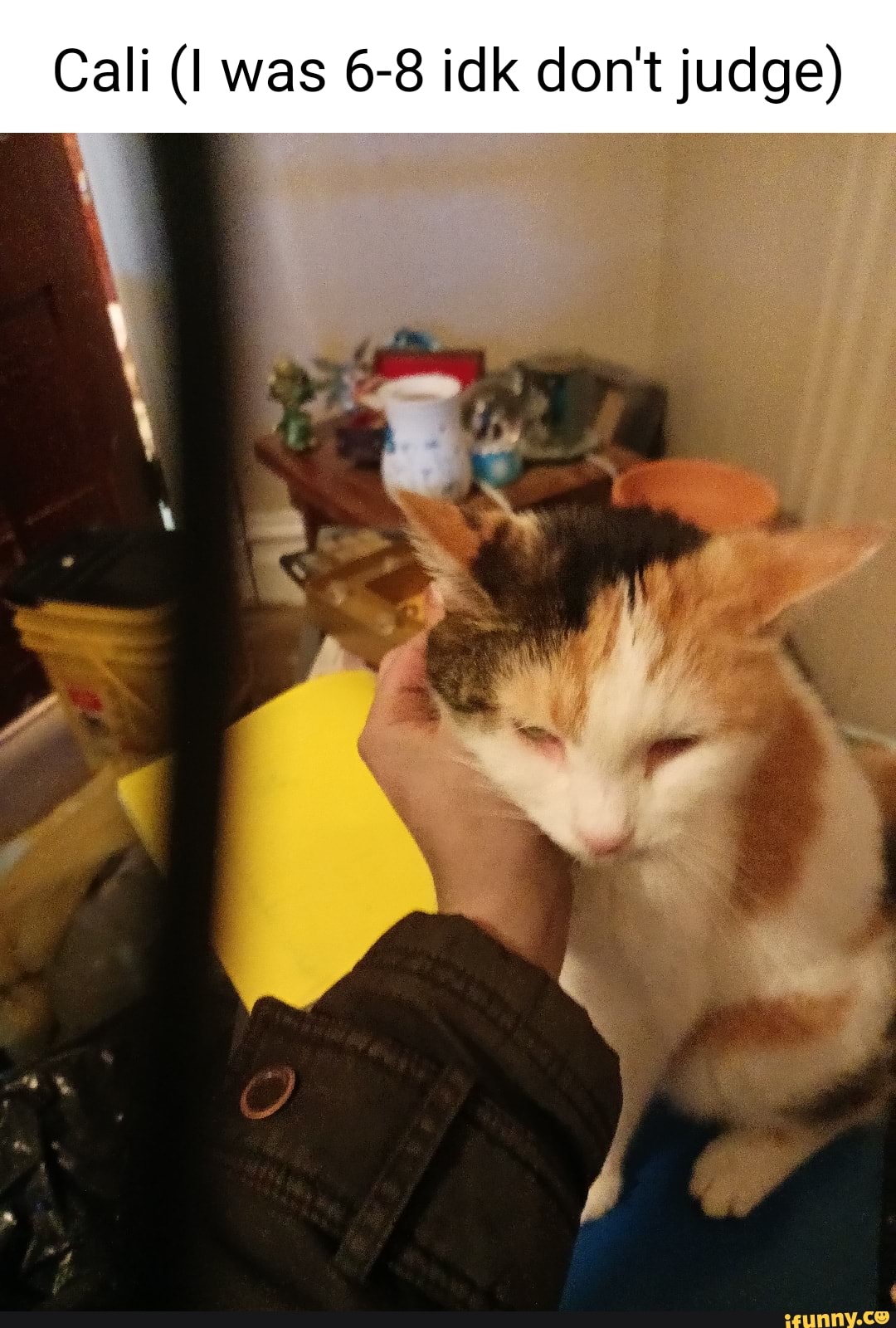 Cali was 6-8 idk don't judge) - iFunny