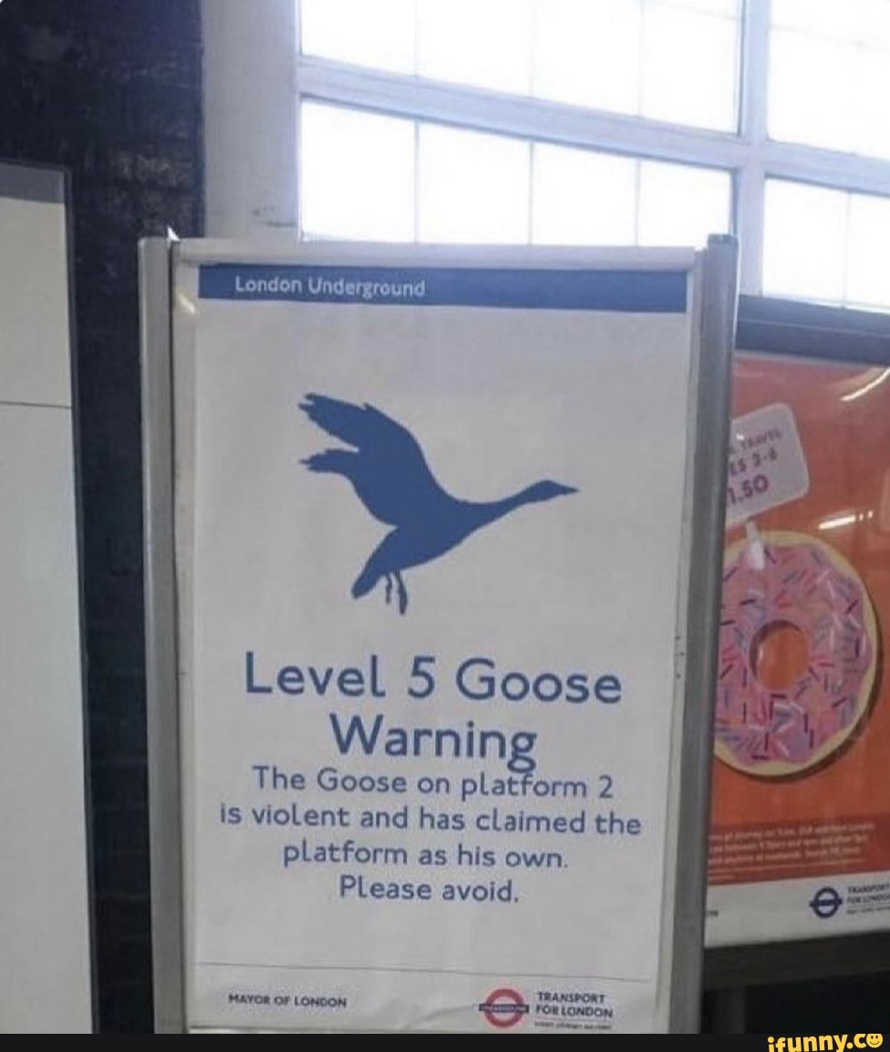 London Underground Level 5 Goose Warning tform 2 The Goose on pla is ...