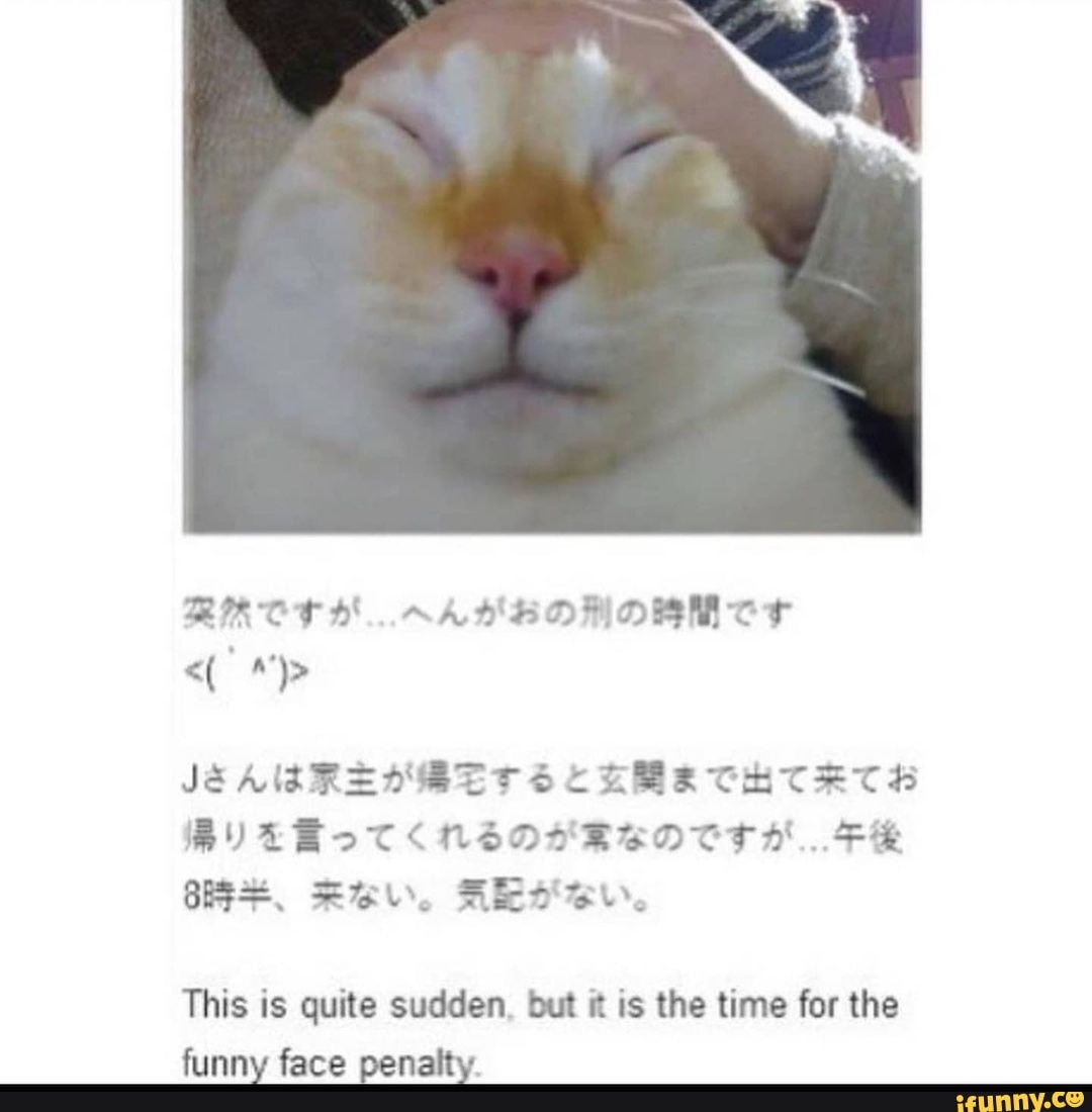 Fomny memes. Best Collection of funny Fomny pictures on iFunny