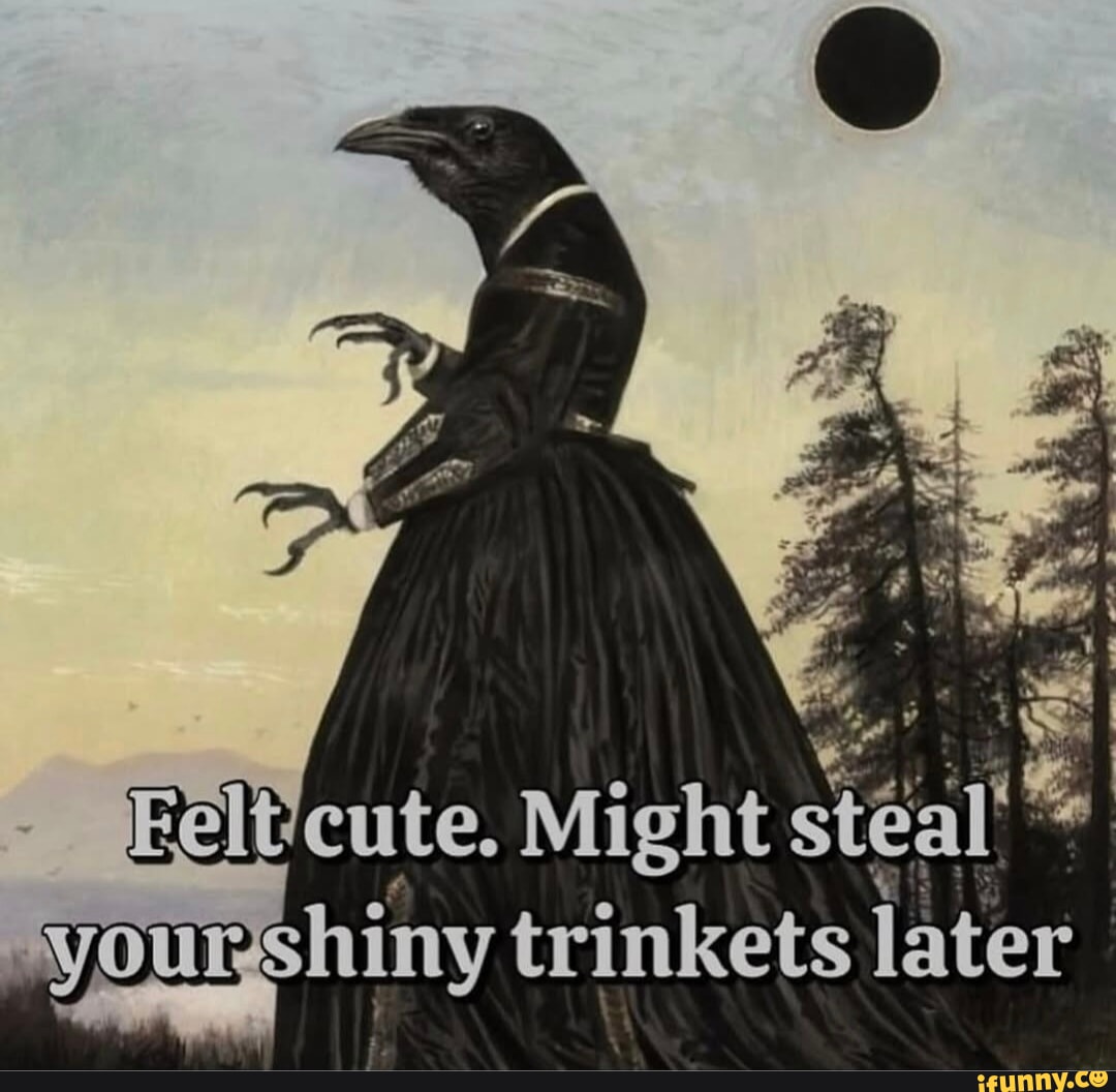 Funny Raven Memes Funny Raven Pictures