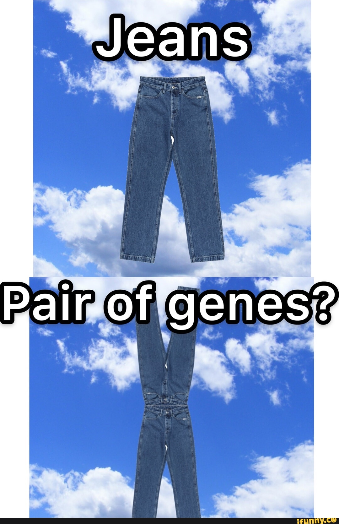 Jeans memes. Best Collection of funny Jeans pictures on iFunny