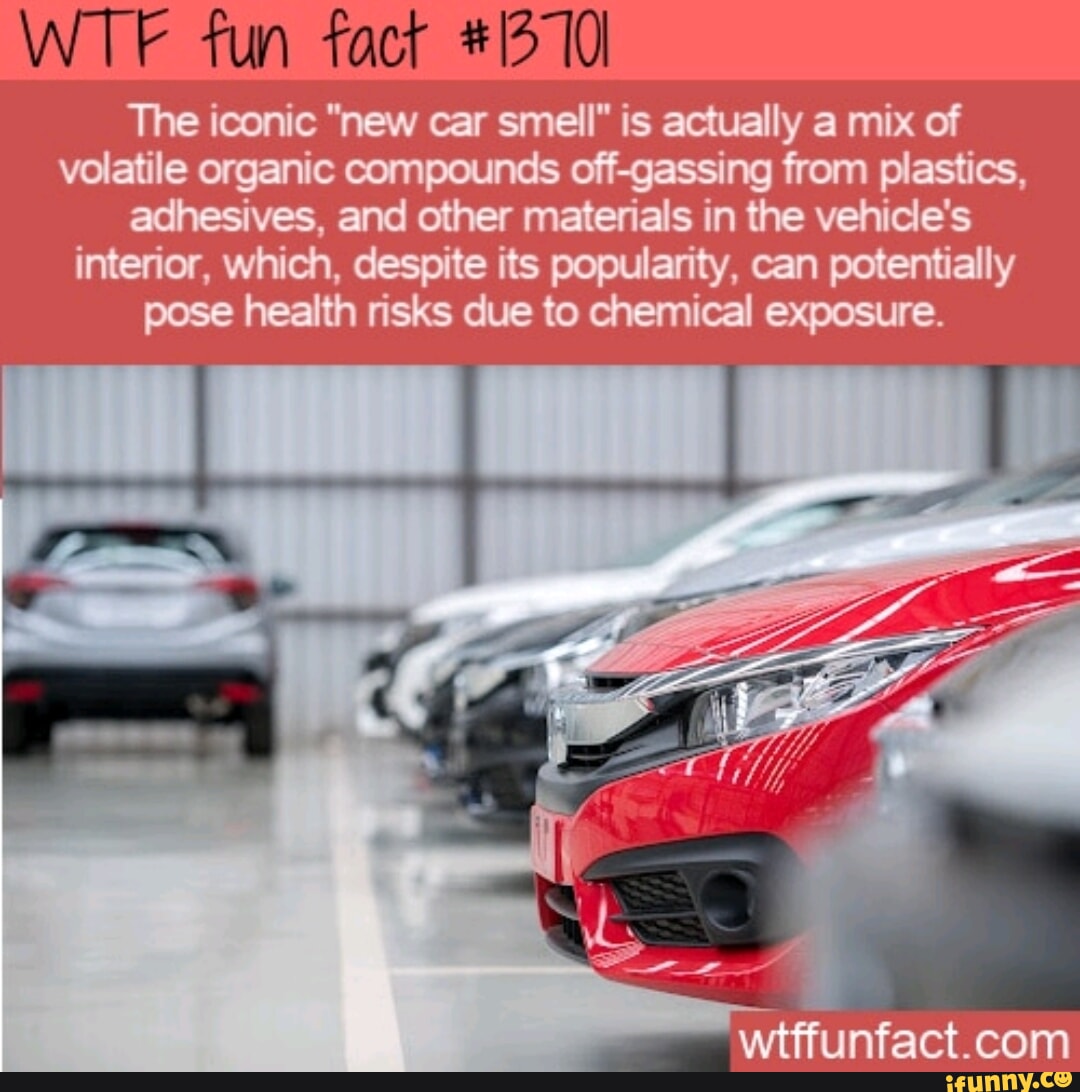 Adhesives memes. Best Collection of funny Adhesives pictures on iFunny