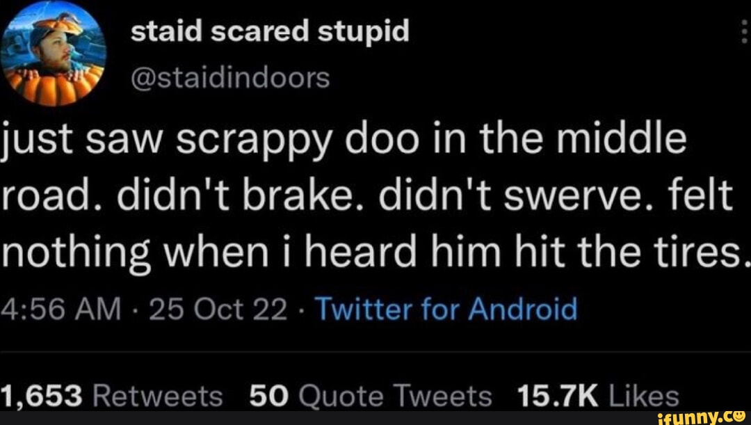 Staid scared stupid @staidindoors just saw scrappy doo in the middle ...