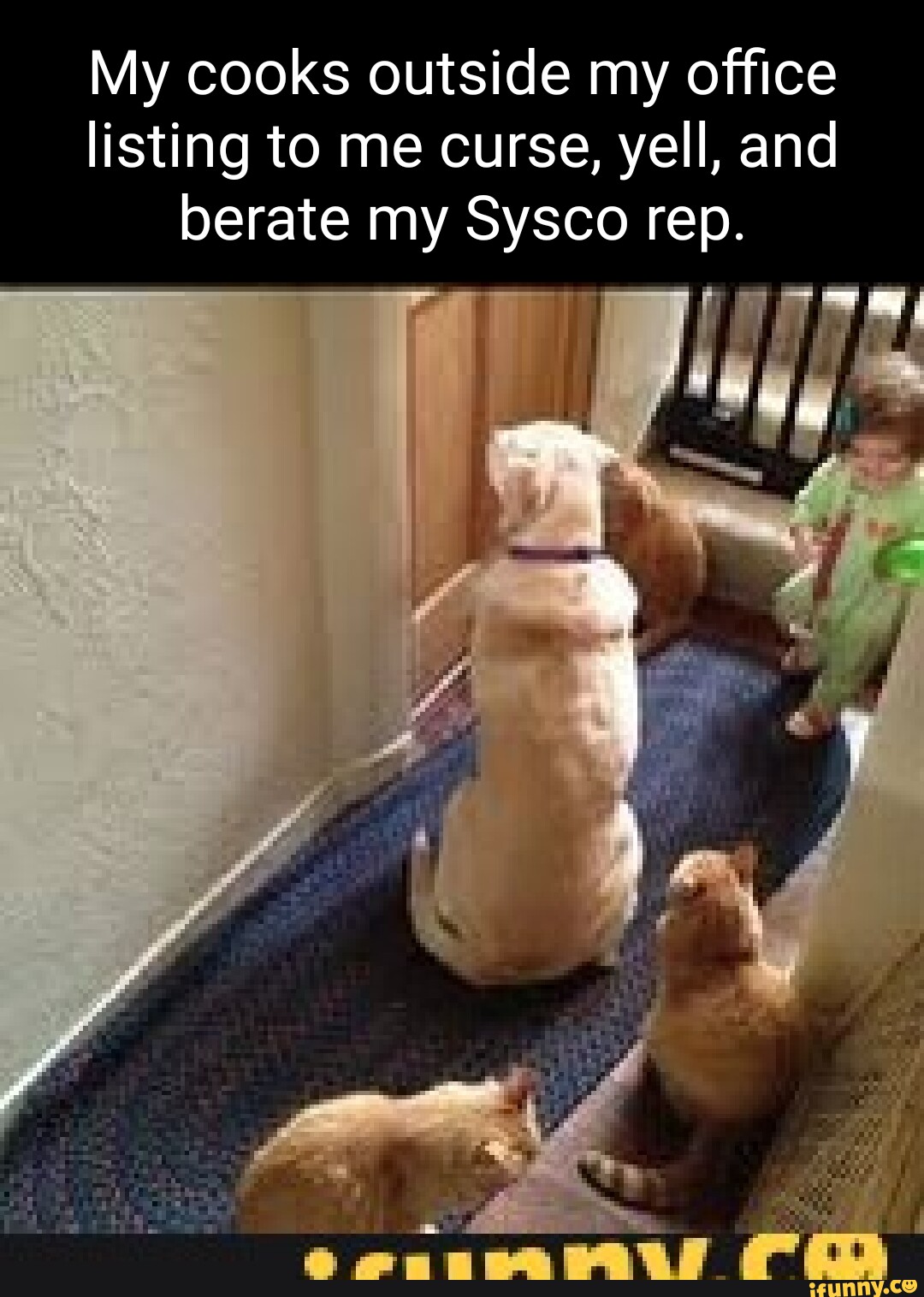 Sysco memes. Best Collection of funny Sysco pictures on iFunny