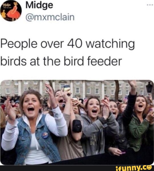 2B's ass has more than 300k polygons, which is more than all of Ocarina ...