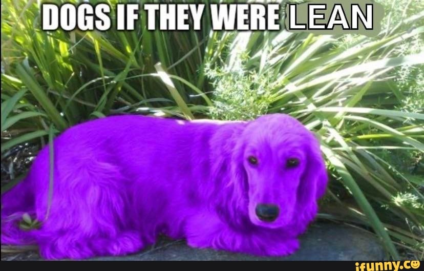 DOGS IF THEY WERE, LEAN - iFunny