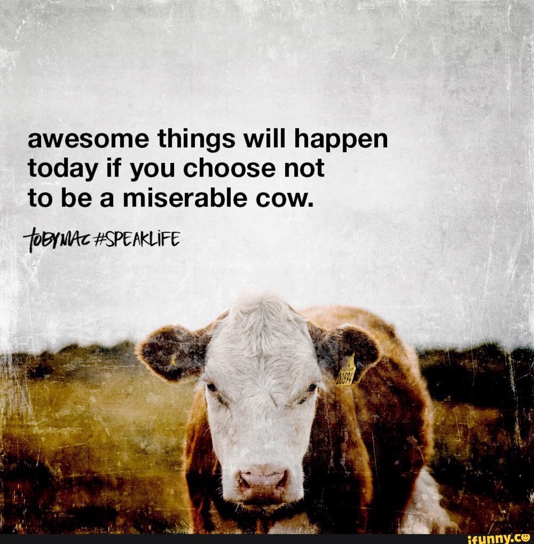 Awesome things will happen today if you choose not to be a miserable ...
