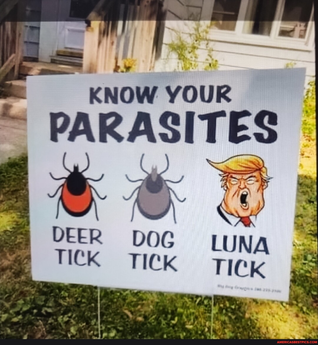 KNOW YOUR PARASITES DEER DOG LUNA -3 CK TICK TICK - America’s best pics ...