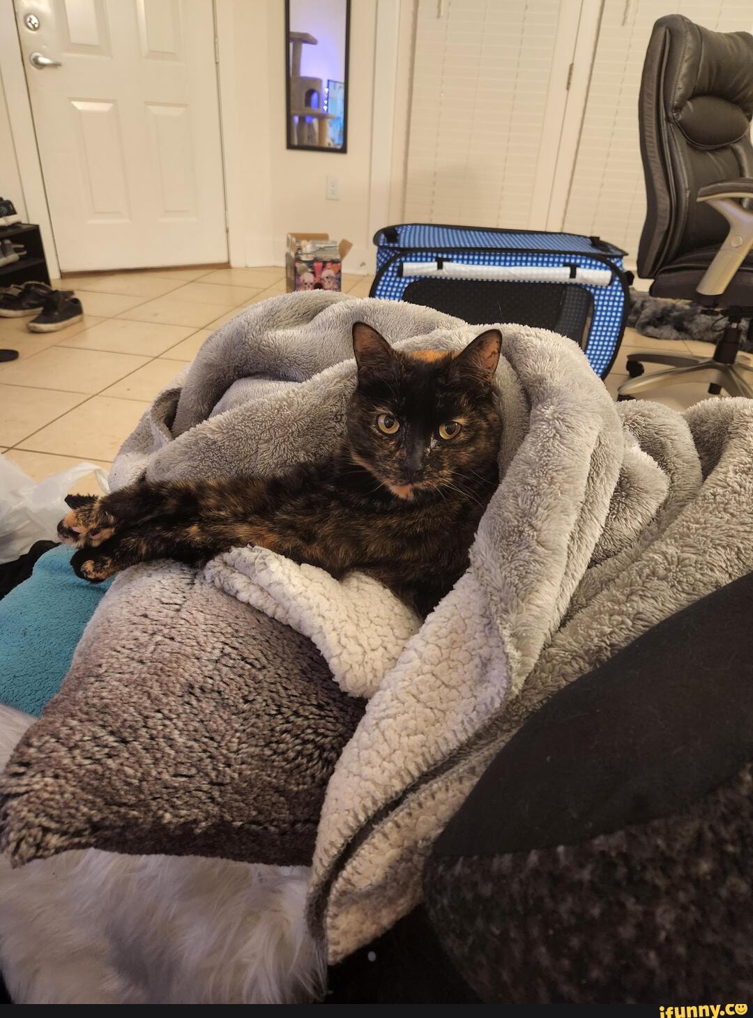 Ochaco memes. Best Collection of funny Ochaco pictures on iFunny