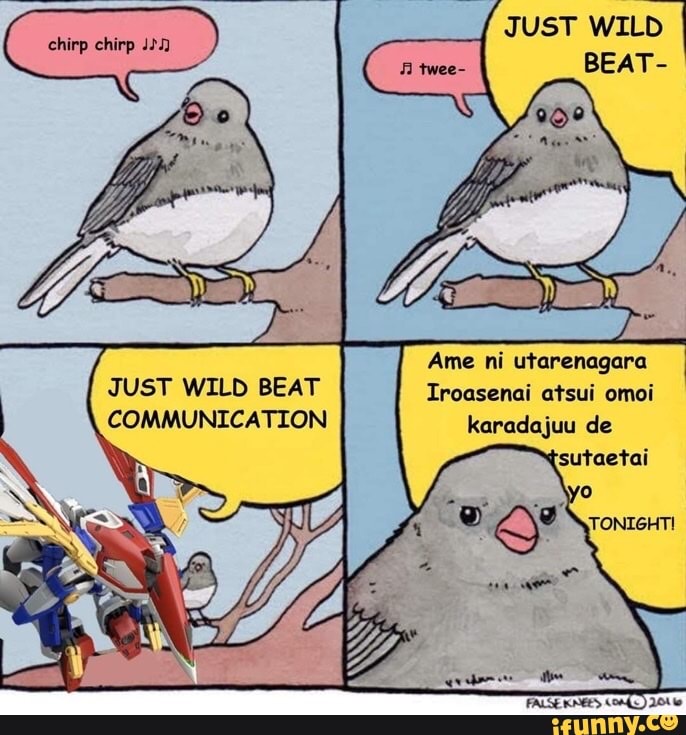 Winggundam memes. Best Collection of funny Winggundam pictures on iFunny
