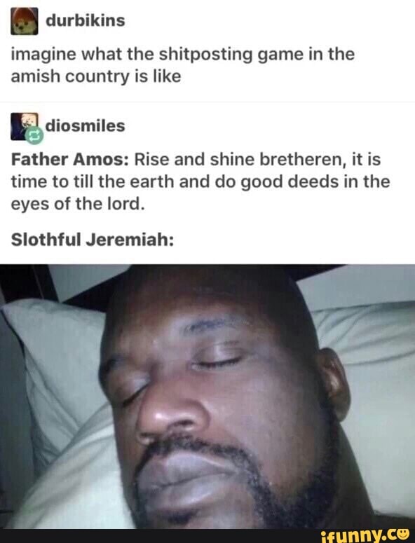 Imagine what the shitposting game in the amish country is like Be ...