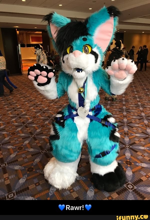 Furtastic memes. Best Collection of funny Furtastic pictures on iFunny