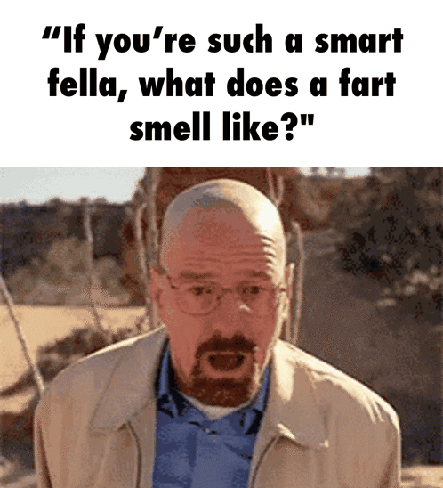 Fella Memes