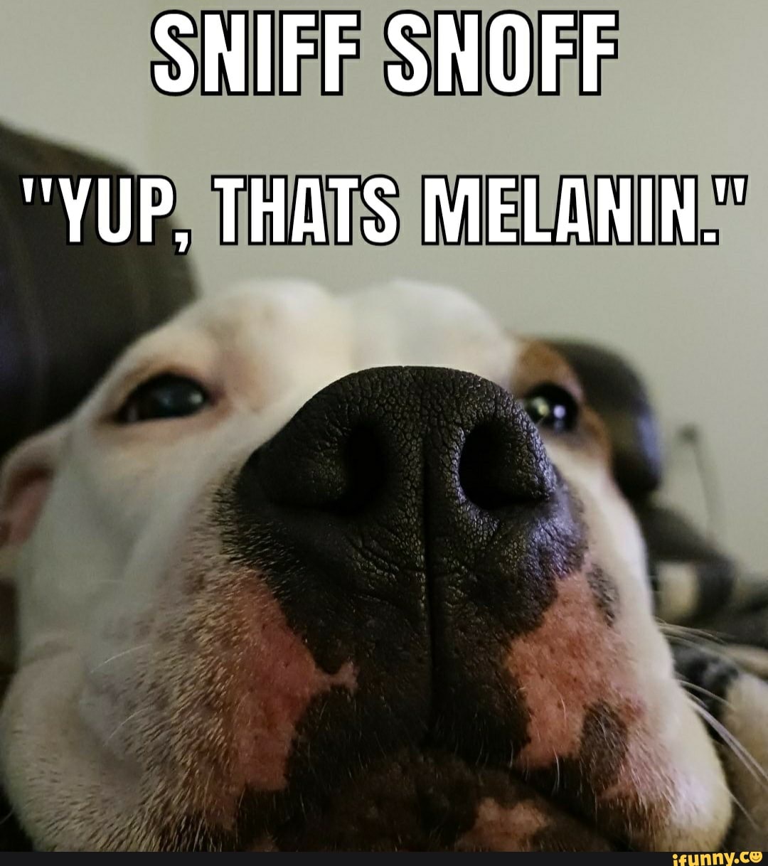 ONIFF SNOFF "YUP, THATS SIM EVAN INs - iFunny