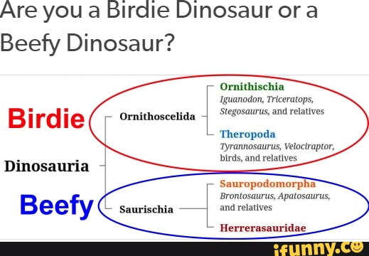Theropoda memes. Best Collection of funny Theropoda pictures on iFunny