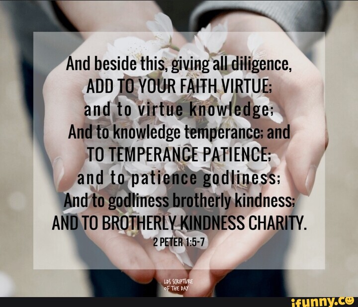 Diligence memes. Best Collection of funny Diligence pictures on iFunny