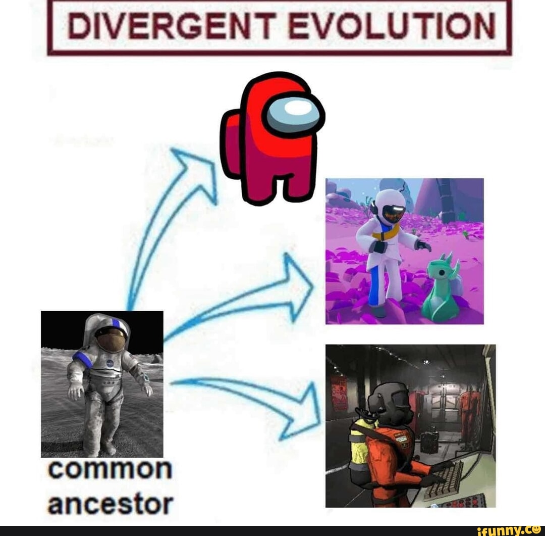 DIVERGENT EVOLUTION common ancestor - iFunny