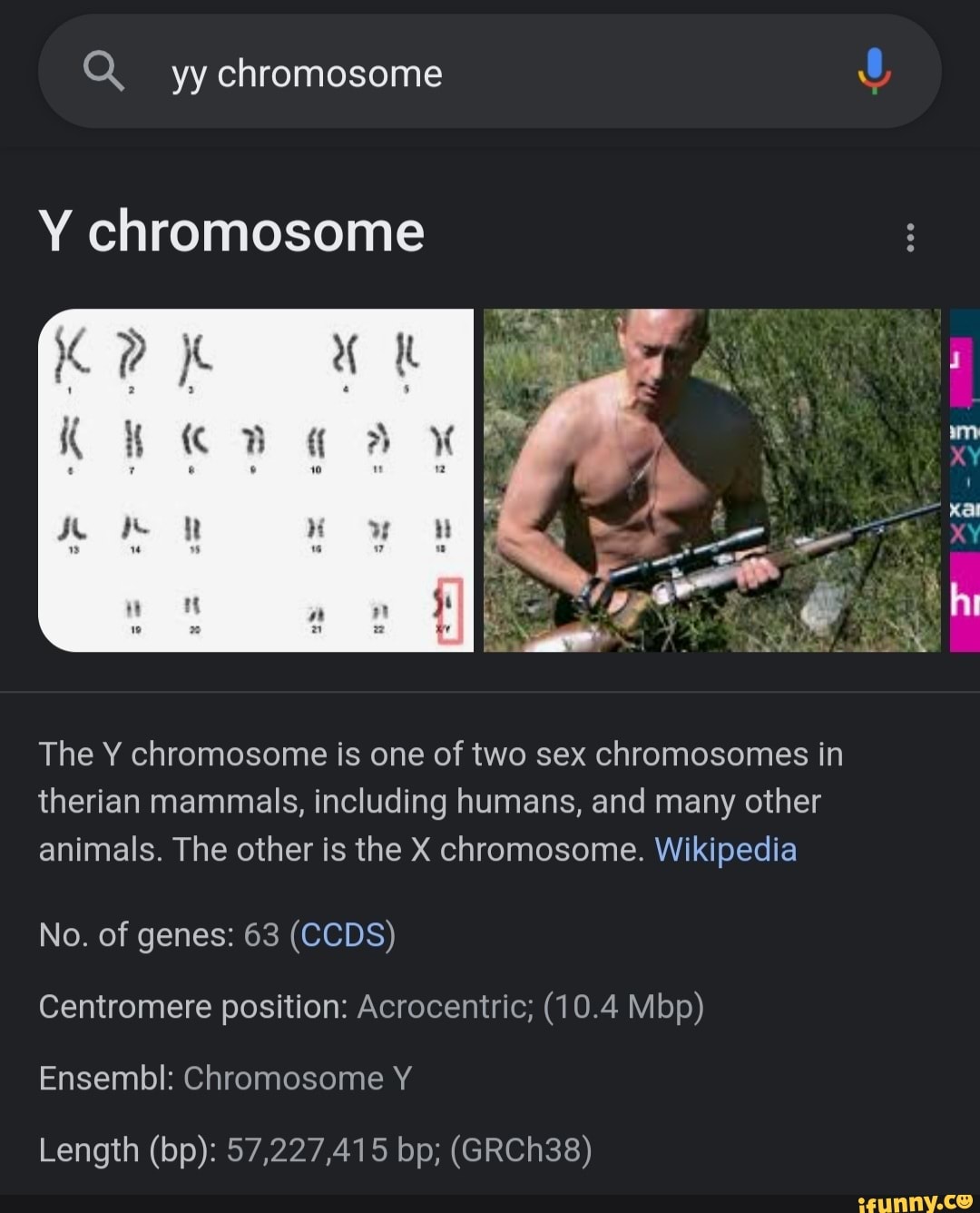 Yy chromosome Y chromosome ga The chromosome is one of two sex ...