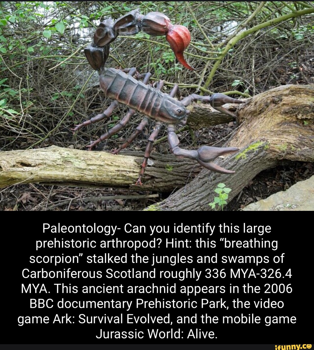 Paleontology- Can you identify this large prehistoric arthropod? Hint ...