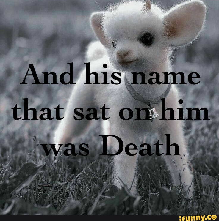 Smol memes. Best Collection of funny Smol pictures on iFunny