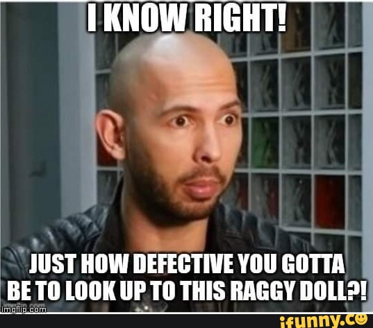 Raggy memes. Best Collection of funny Raggy pictures on iFunny