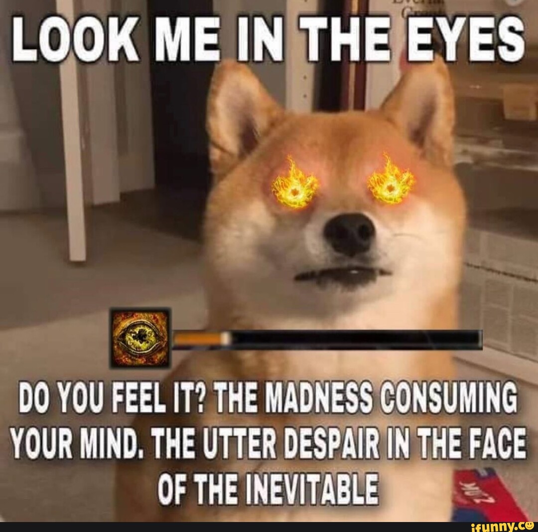 LOOK ME IN THE EYES DO YOU FEEL IT? THE MADNESS CONSUMING YOUR MING ...