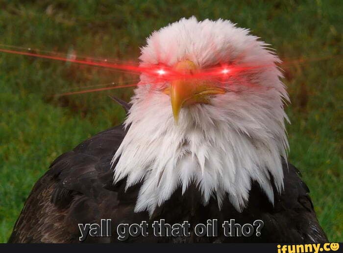 Bald_eagle memes. Best Collection of funny Bald_eagle pictures on iFunny