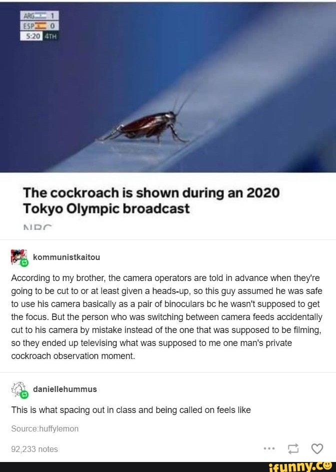 The cockroach is shown during an 2020 Tokyo Olympic broadcast According ...