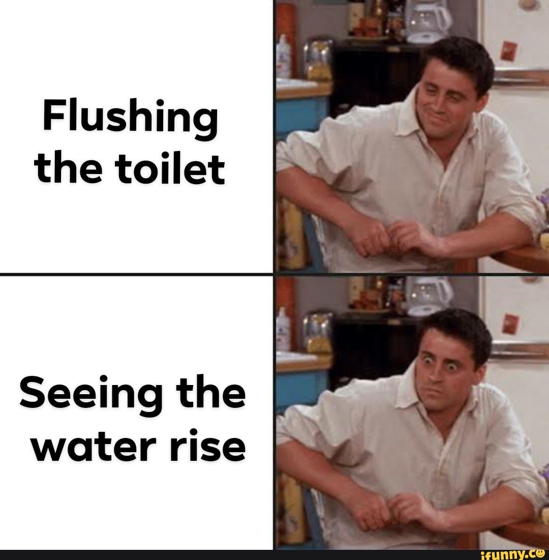 Flushing the toilet Seeing the water rise - iFunny