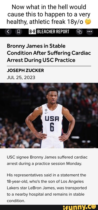 Bron memes. Best Collection of funny Bron pictures on iFunny