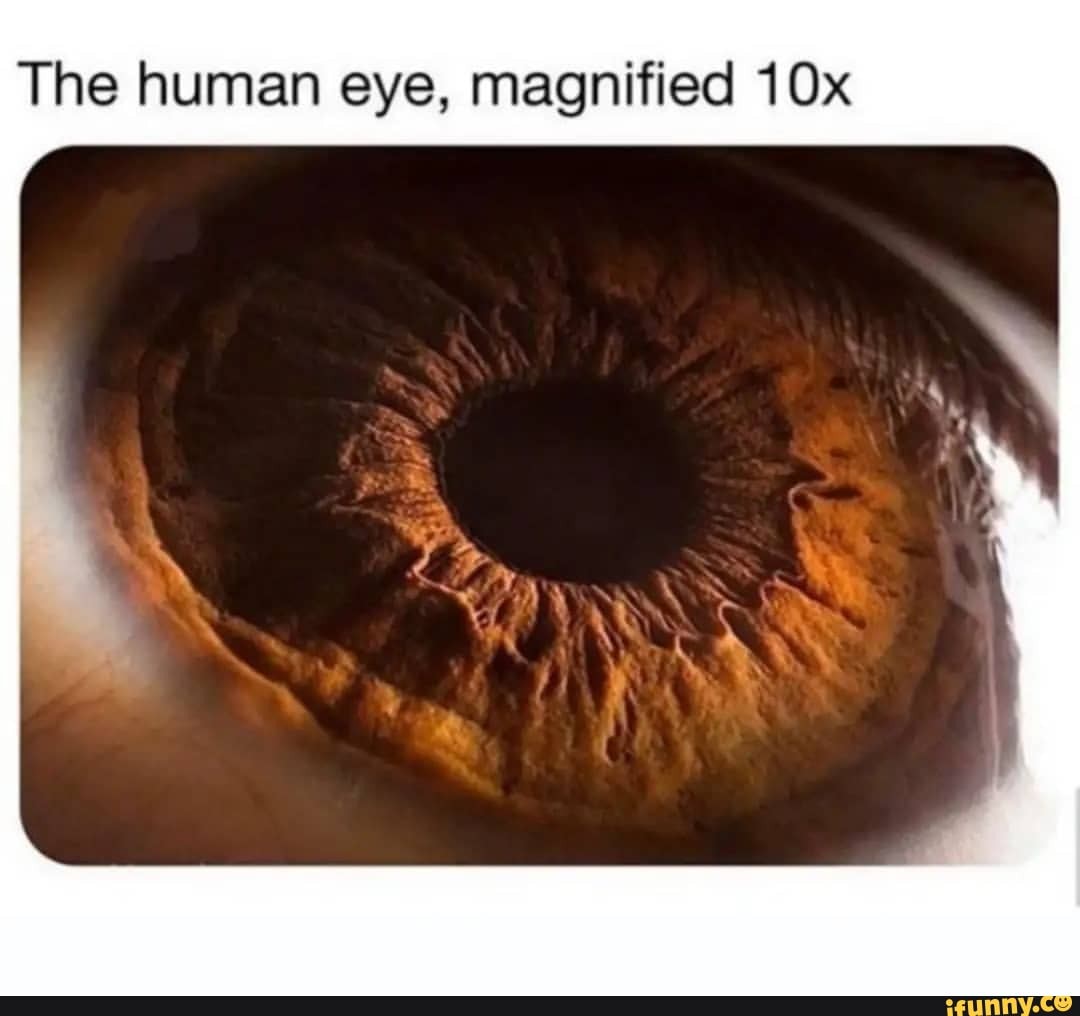 The human eye, magnified - iFunny
