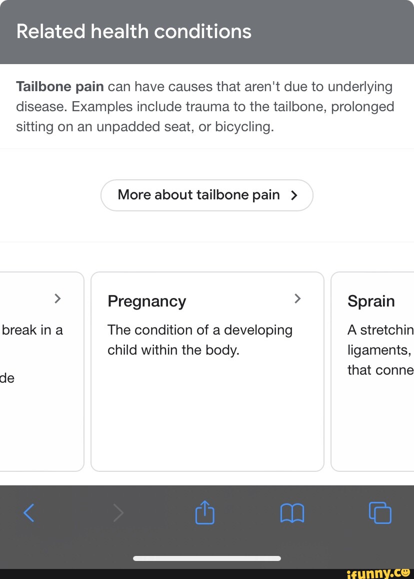 Tailbone memes. Best Collection of funny Tailbone pictures on iFunny