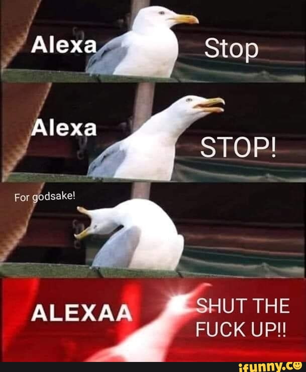 Alexe memes. Best Collection of funny Alexe pictures on iFunny