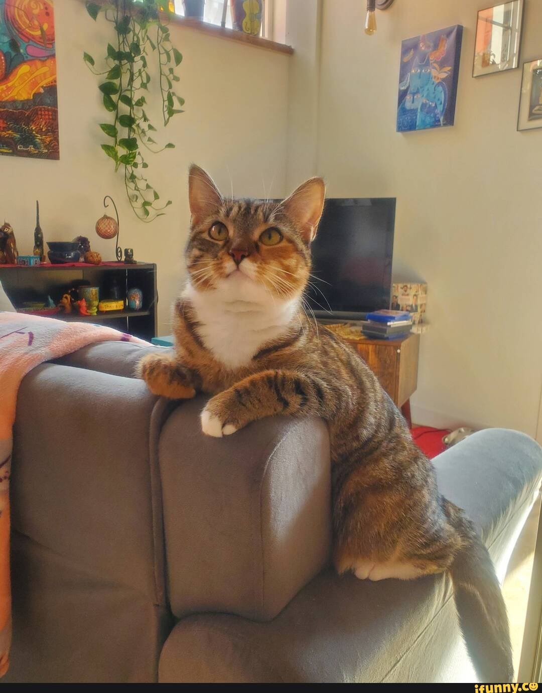 Stumpy memes. Best Collection of funny Stumpy pictures on iFunny